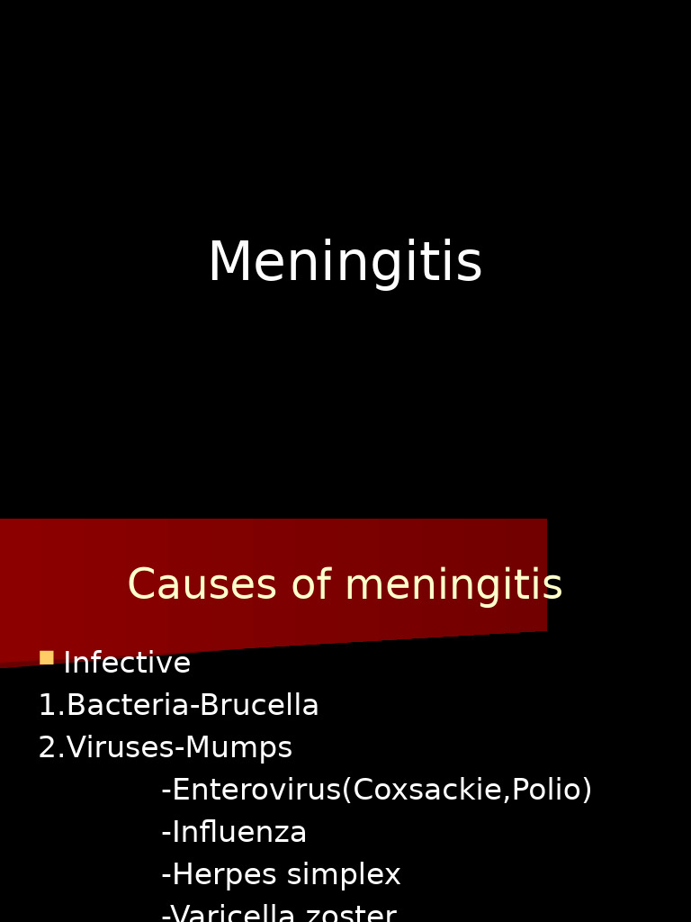fp2 - Menigitis | PDF