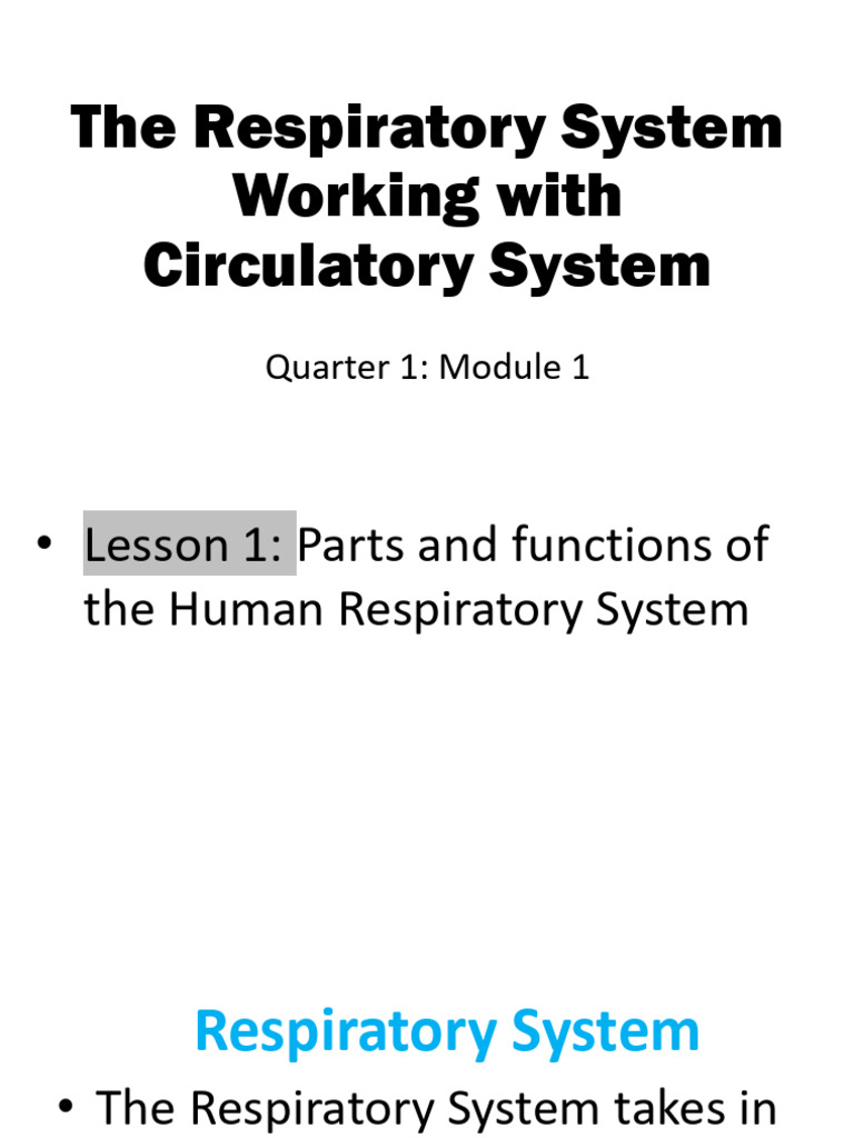 Module 1 Resp Circ | PDF | Respiratory Tract | Wellness