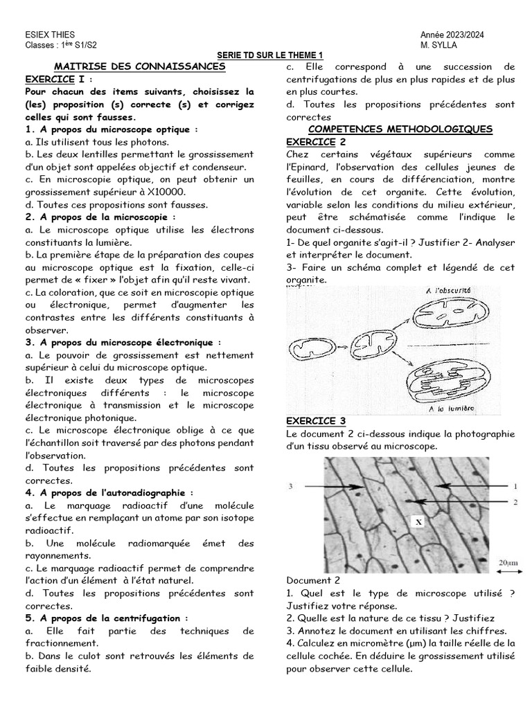 TD Sur Le Theme 3 | PDF