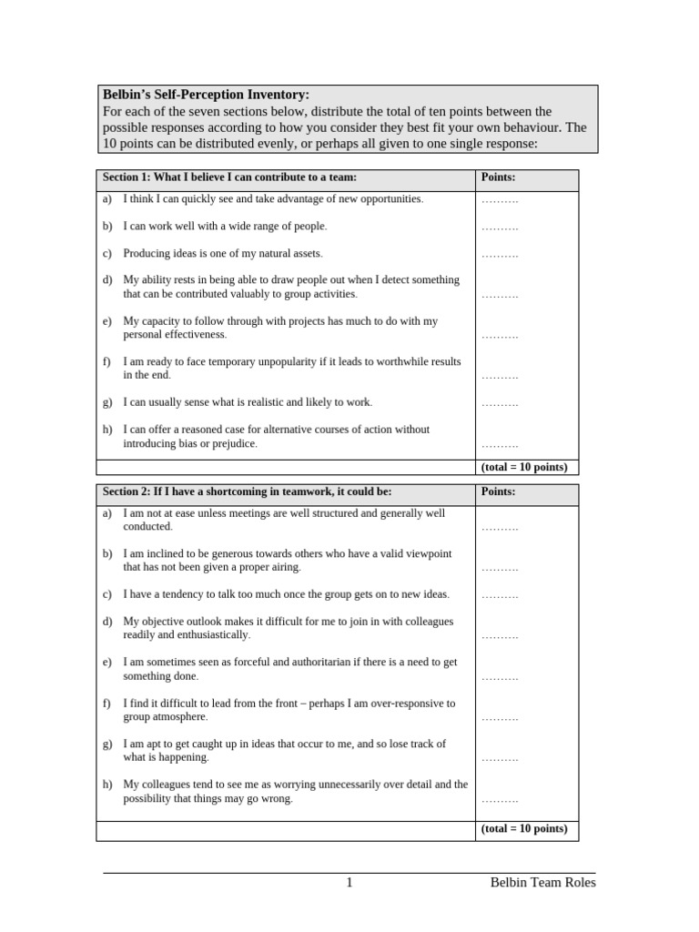 Belbin Self-Perception Inventory | PDF