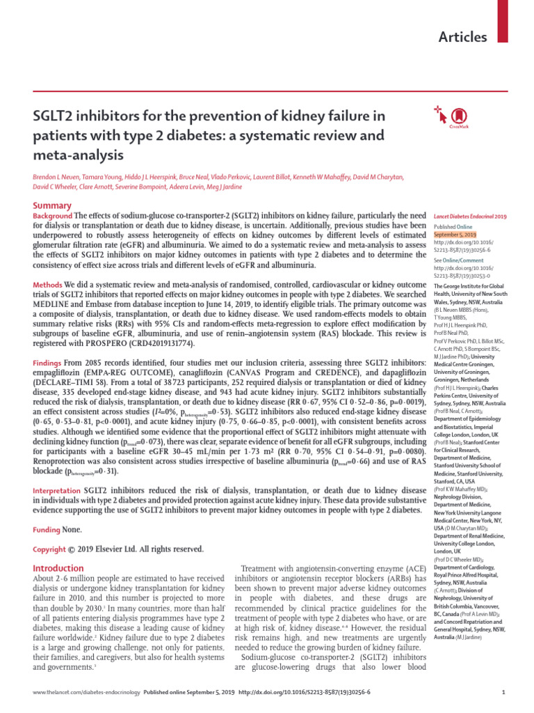 0 2019 SGLT2 Inhibitors For The Prevention of Kidney Failure in ...