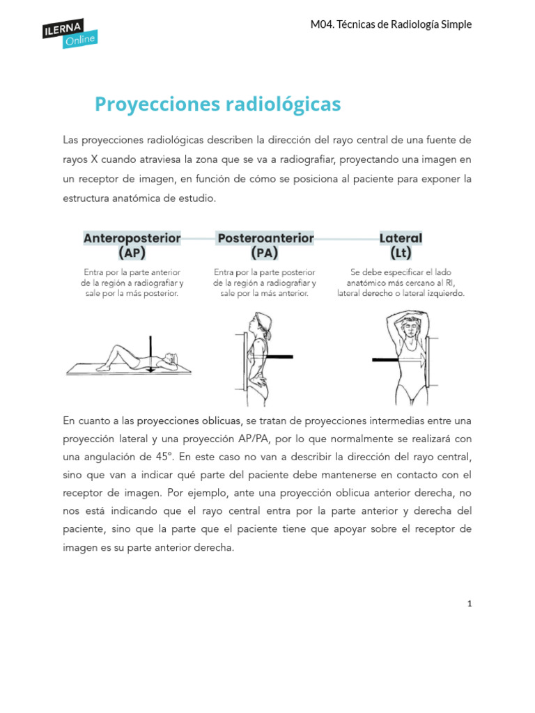 Proyecciones Radiológicas | PDF