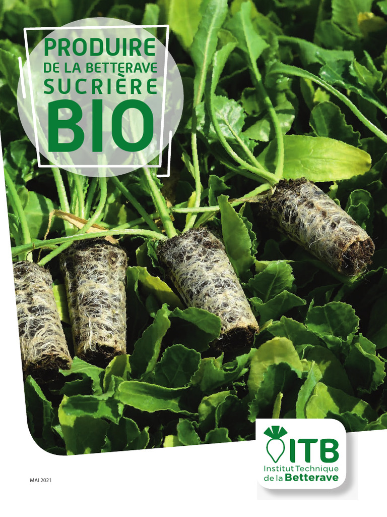 Produire Betterave Bio | PDF