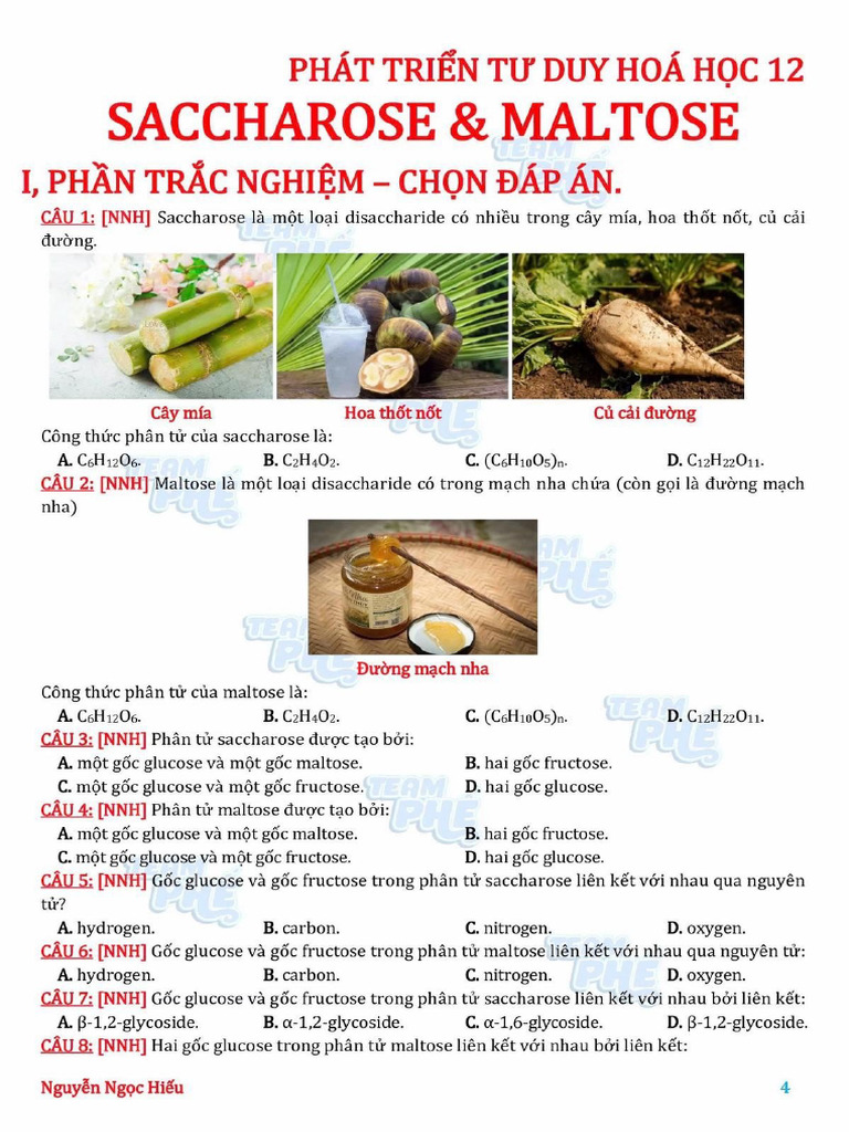 Saccharose Maltose | PDF
