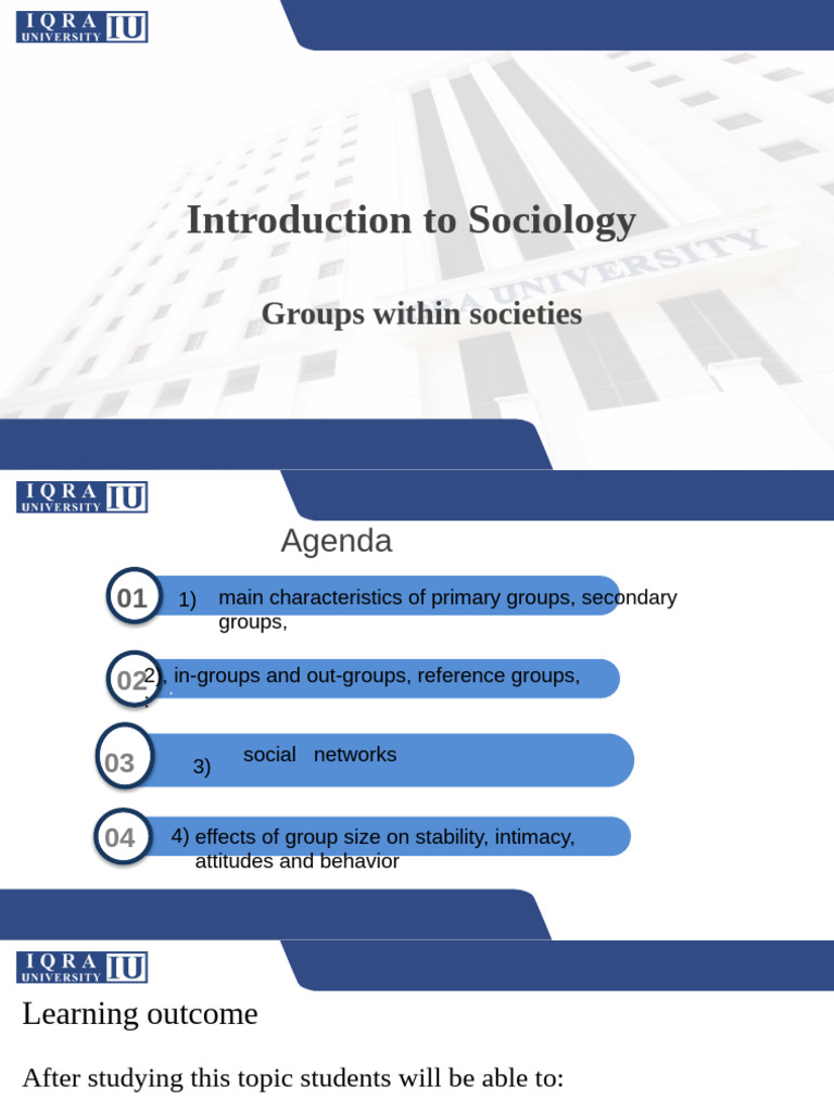Introduction To Sociology: Groups Within Societies | PDF