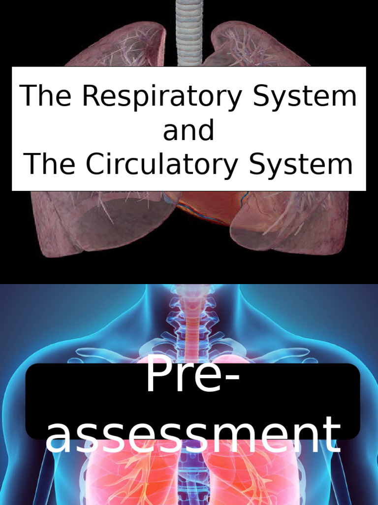 Lesson 1 Respiratory System Pdf