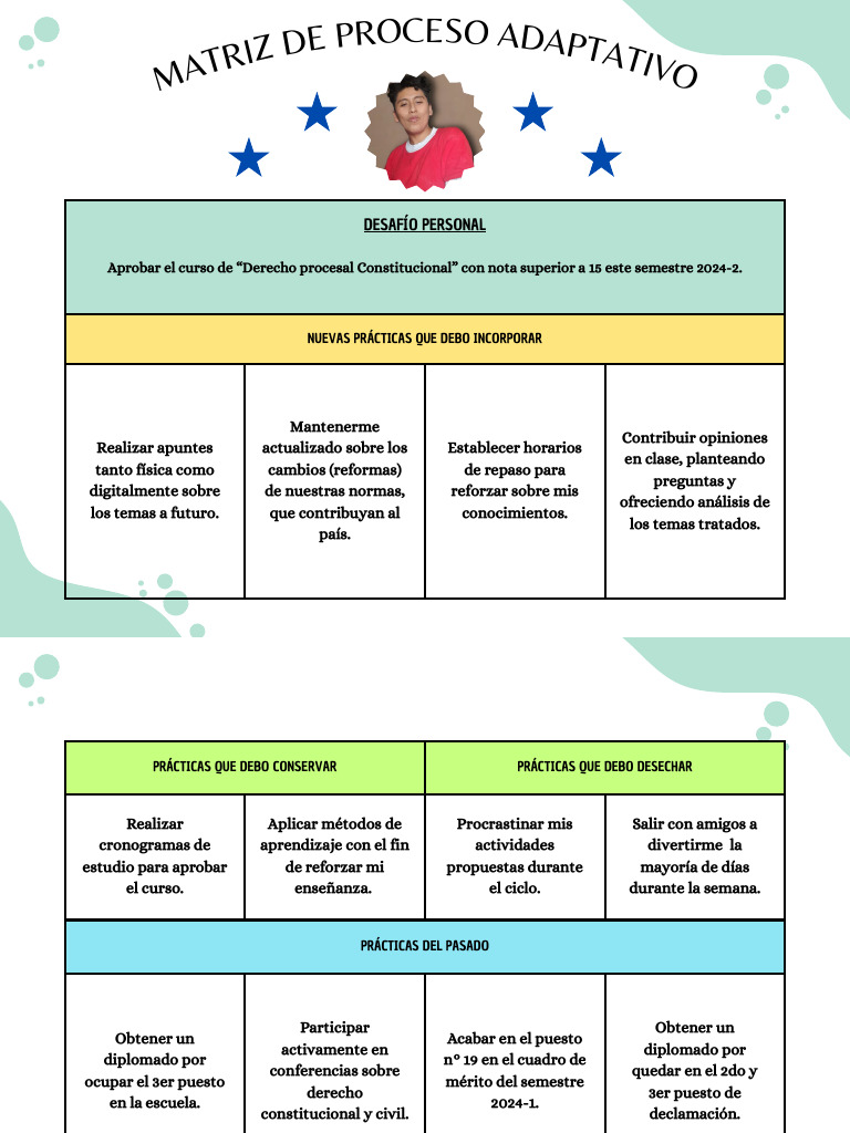 Matriz Del Proceso Adaptativo | PDF