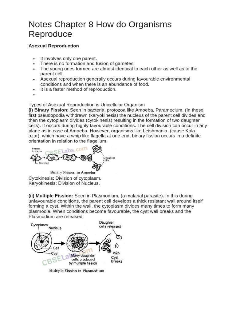 Notes Chapter 8 How Do Organisms Reproduce | PDF