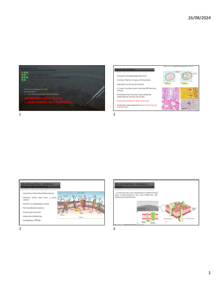 1851136-S1 Biologia Celular Estrutura Da Membrana Biologica Prof. Luiz Gonzaga | PDF
