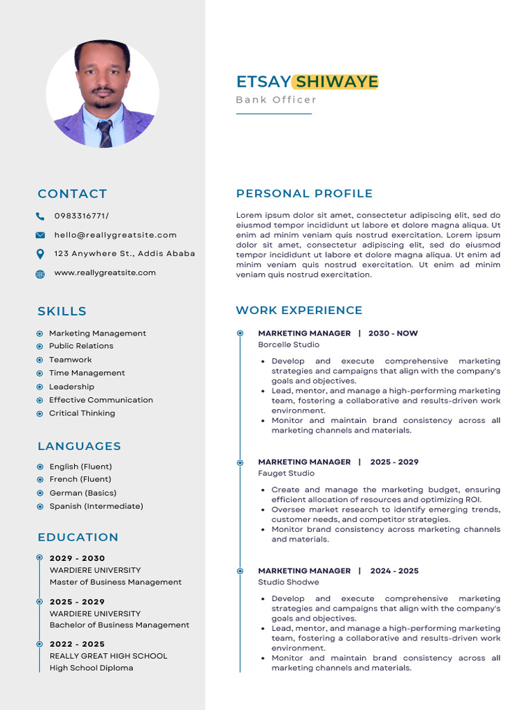 Blue and Gray Professional CV Template | PDF | Marketing | Self-Improvement