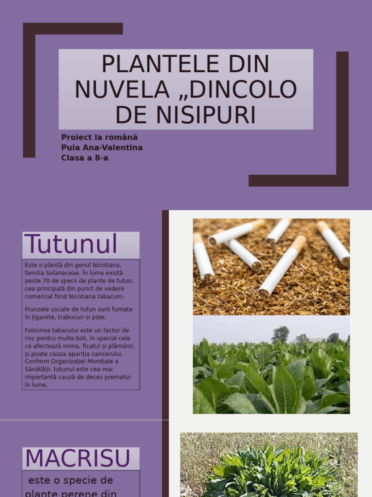 Plantele Din Nuvela Dincolo de Nisipuri | PDF