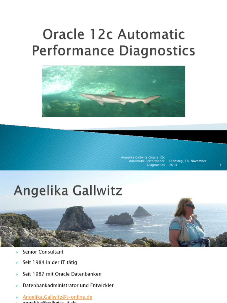 Angelika Gallwitz Oracle 12c Automatic Performance Diagnostics | PDF