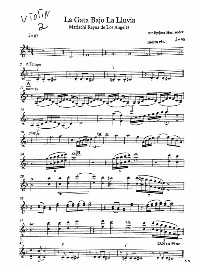 La Gata Bajo La Lluvia VLN 2 | PDF