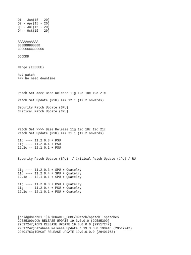 Patching Explanation | PDF