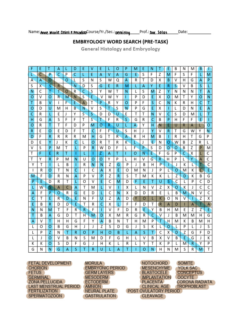 M1 L3 Pre Task | PDF