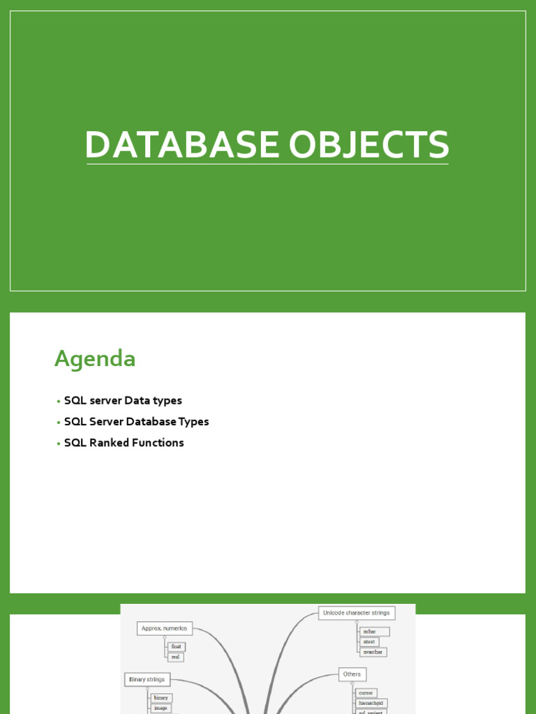 Database Objects | PDF