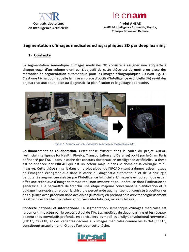 IRCAD Segmentation3d | PDF