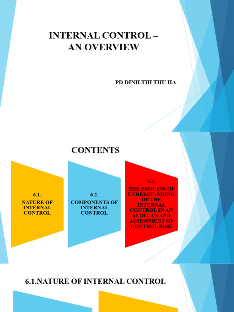 Chapter 6 - Internal Control | PDF