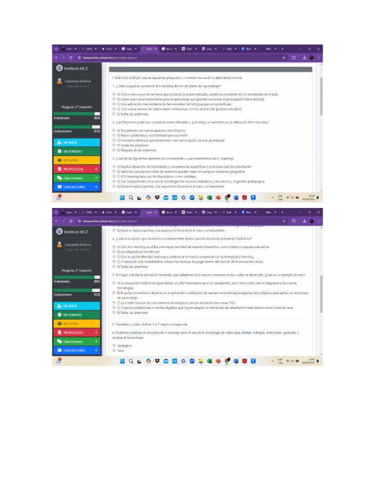 Prueba Guía 8 TIC | PDF