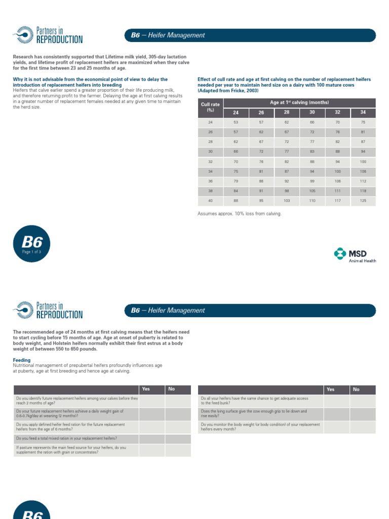 B6 Heifer Management Pdf