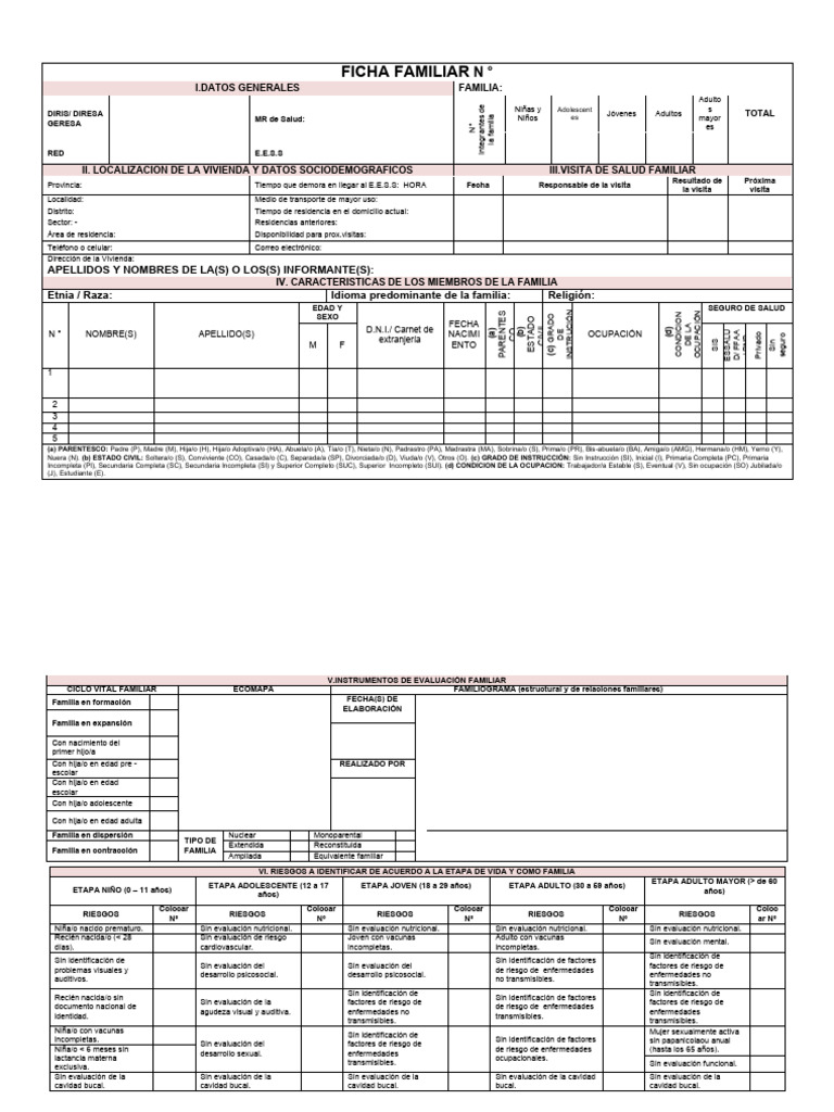 Ficha Familiar para Rellenar | PDF