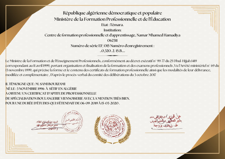 Diplome | PDF