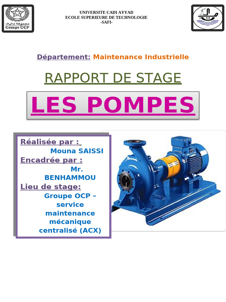Rapport de Stage sur les Pompes | PDF | Technology & Engineering