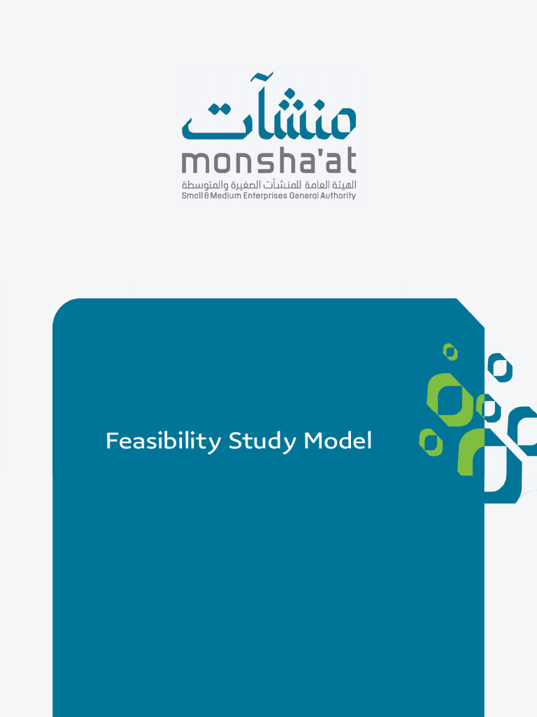 Feasibility Study Model | PDF