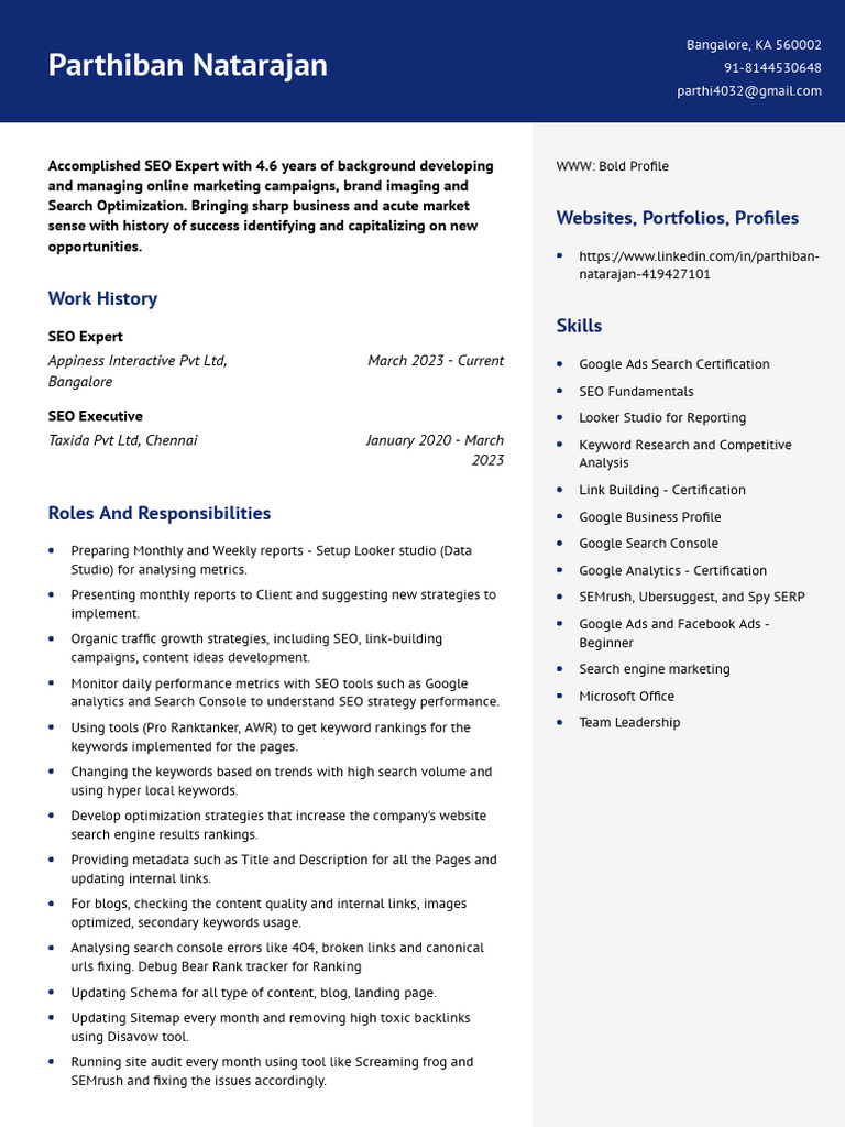 Parthiban N SEO Profile | PDF