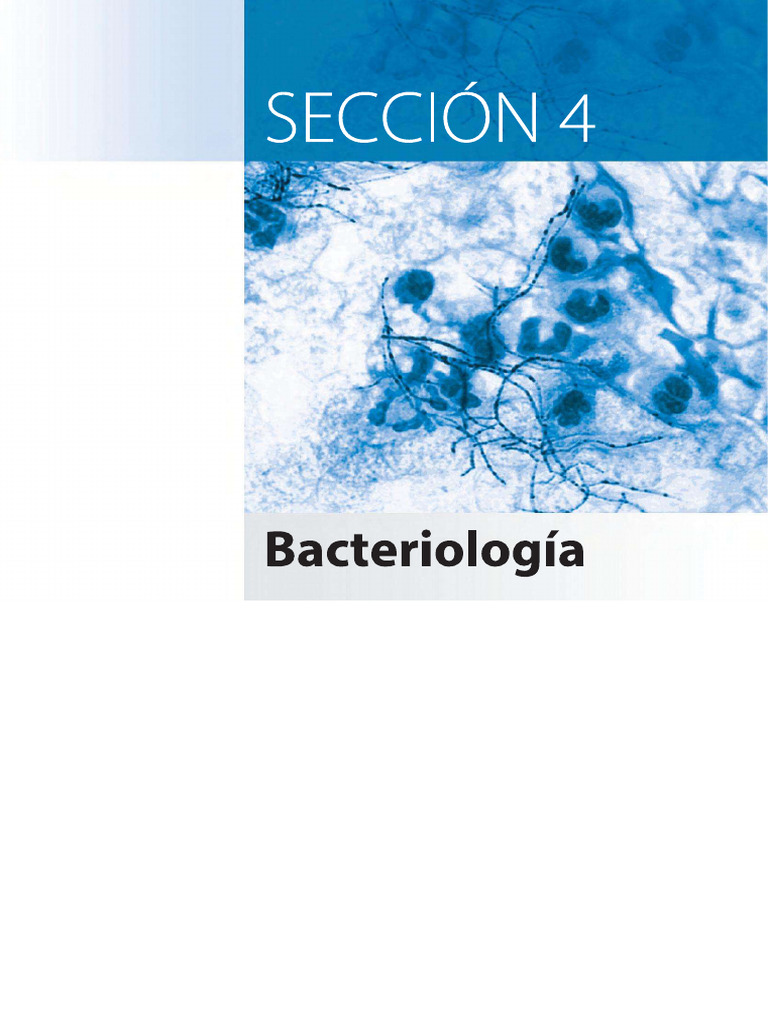 Murray BACTERIO | PDF