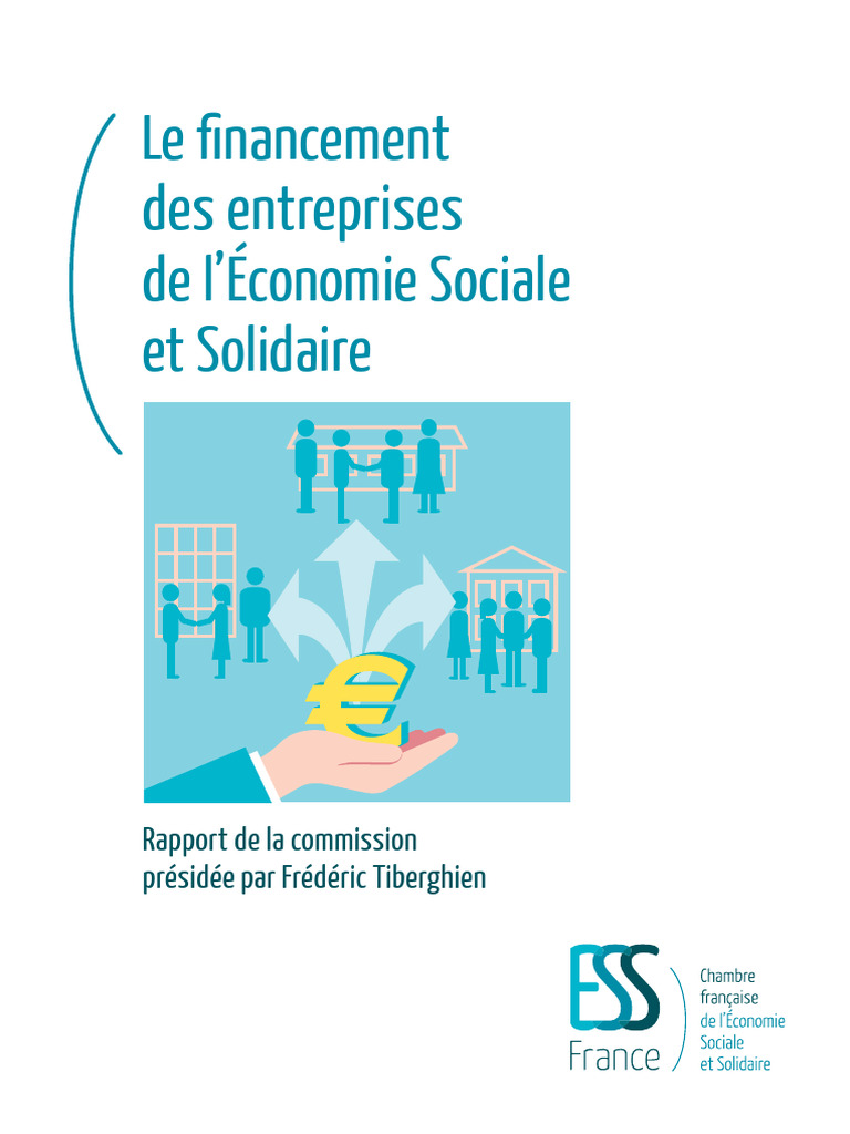 Ess-France Rapport Financement | PDF