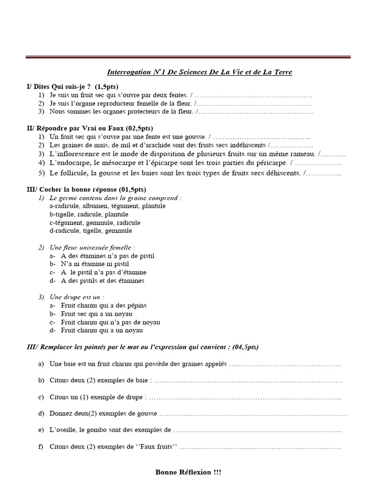 Interro 1 SVT 6ème A | PDF