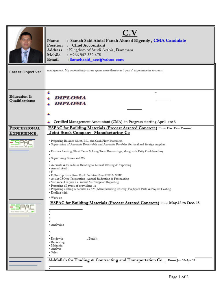 Chief Accountant - CV Updated | PDF | Banks | Balance Sheet