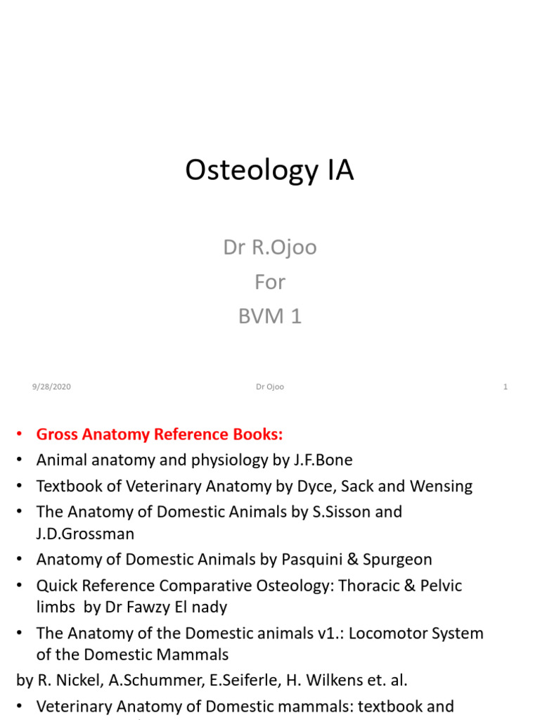 Overview of Mammalian Osteology | PDF | Skull | Science & Mathematics