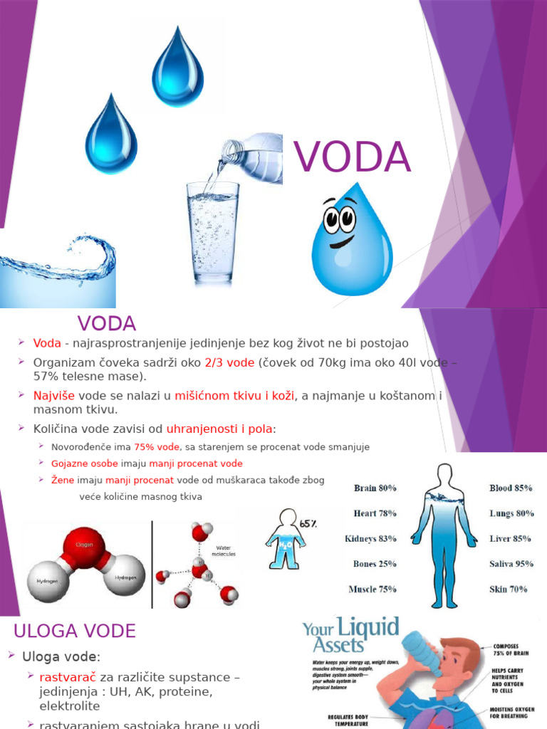 Medicinska Biohemija 2 | PDF