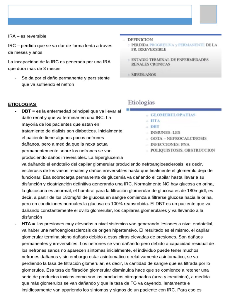 10 Irc - 1 | PDF | Riñón | Salud y bienestar