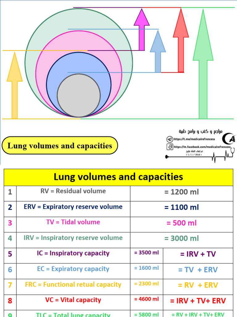 Lung Volumes & Capacities Guide | PDF | Science & Mathematics