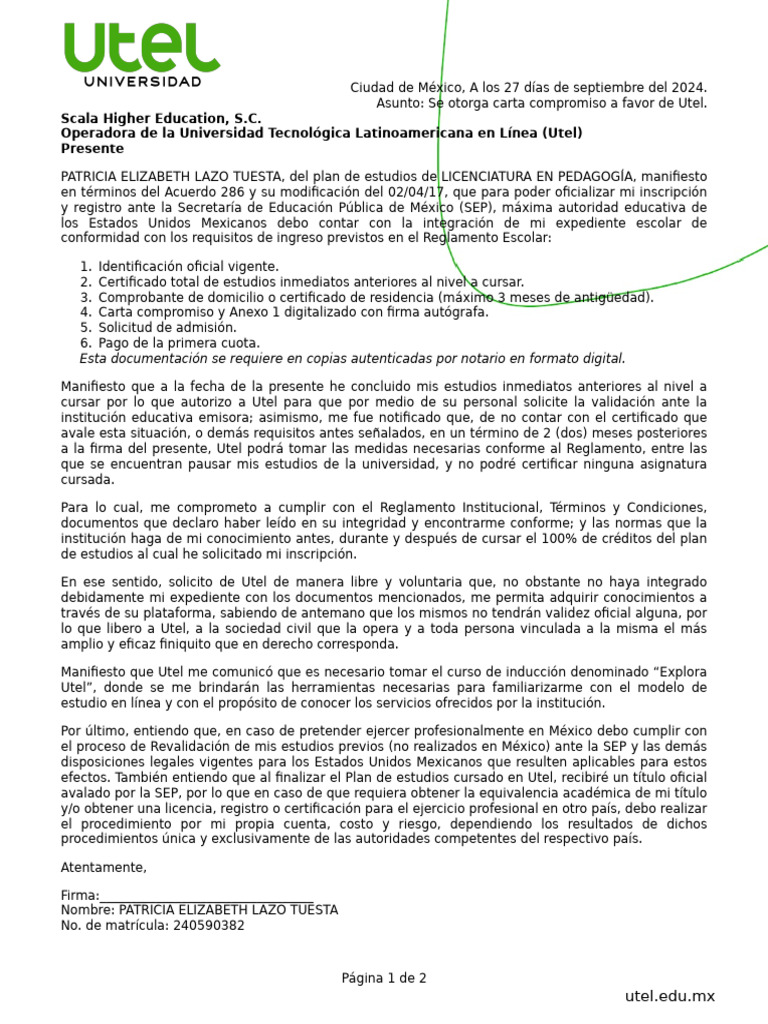 Carta Anexo Patricia Lazo | PDF