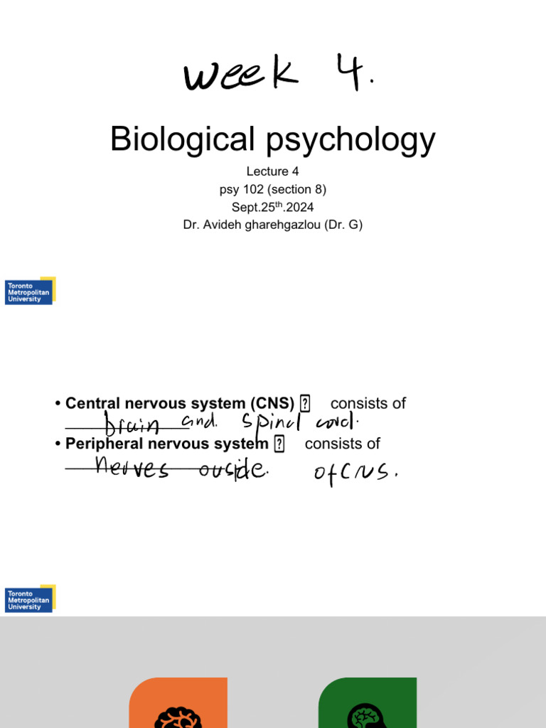 Lecture 4 - Outline | PDF