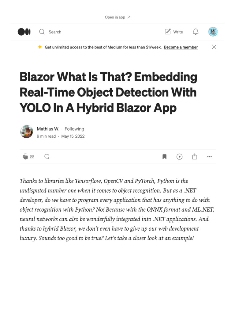Blazor Real Time Detect Objects | PDF