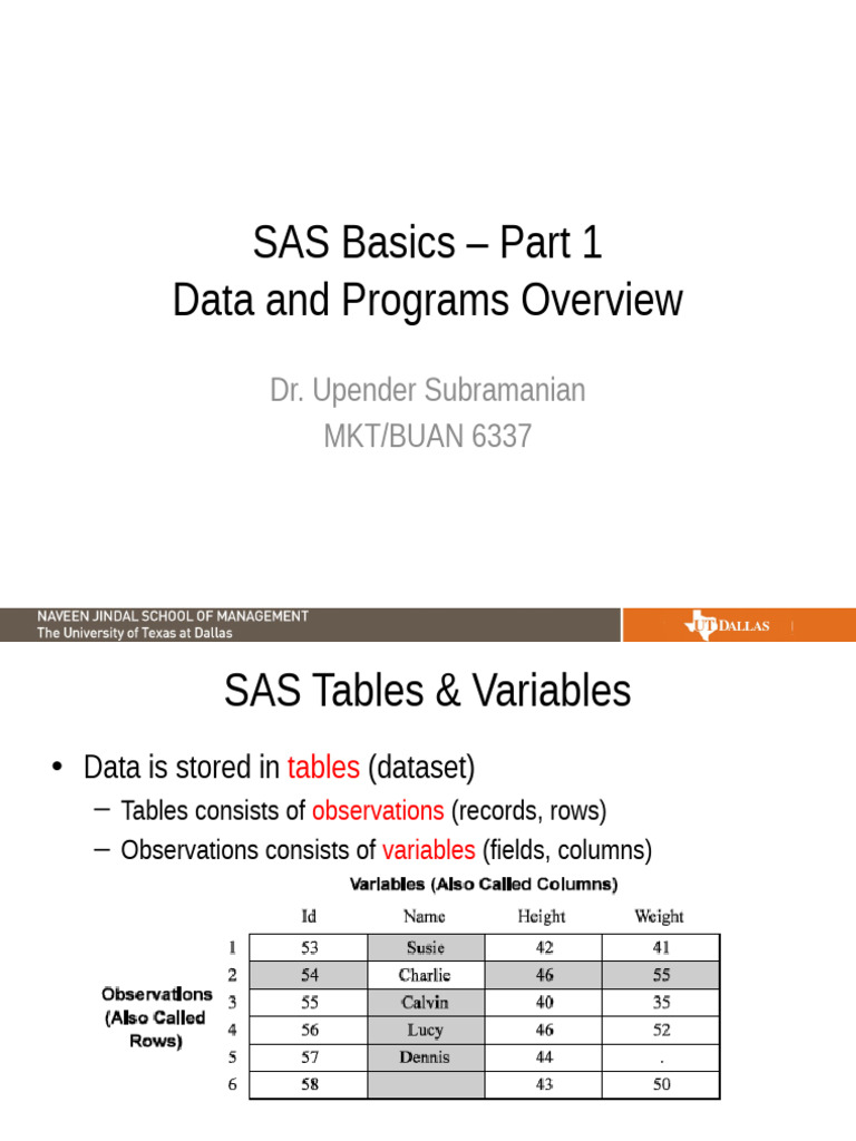 SAS Basics - Part 1 | PDF