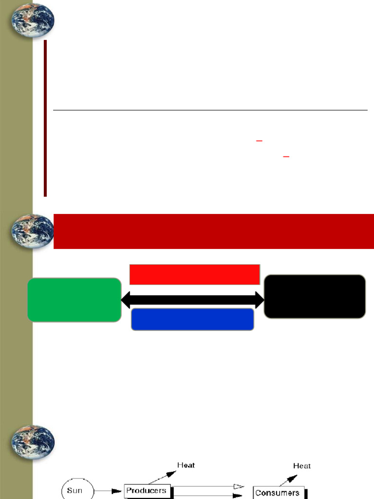 Lec - 2 (Env Studies) - Energy Flow & Biogeochemical Cycles | PDF