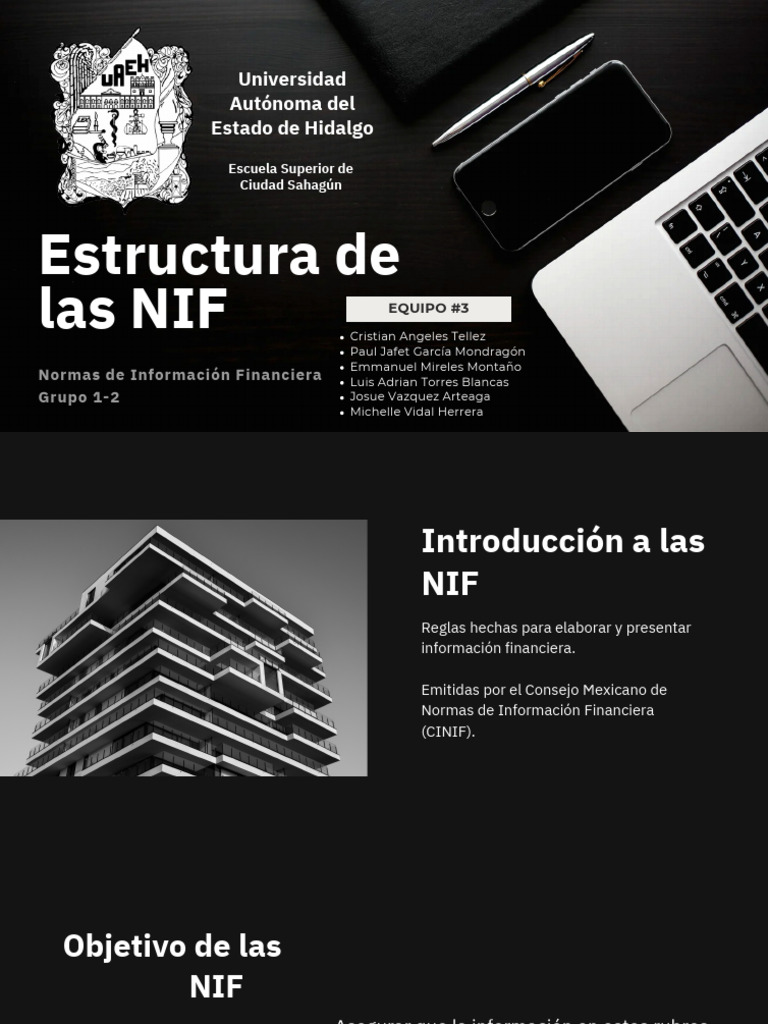 Estructura de La Nif | PDF