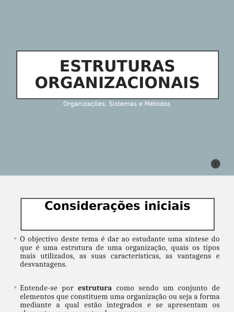 Aula 1 - Estruturas Organizacionais-1 - 024247 | PDF