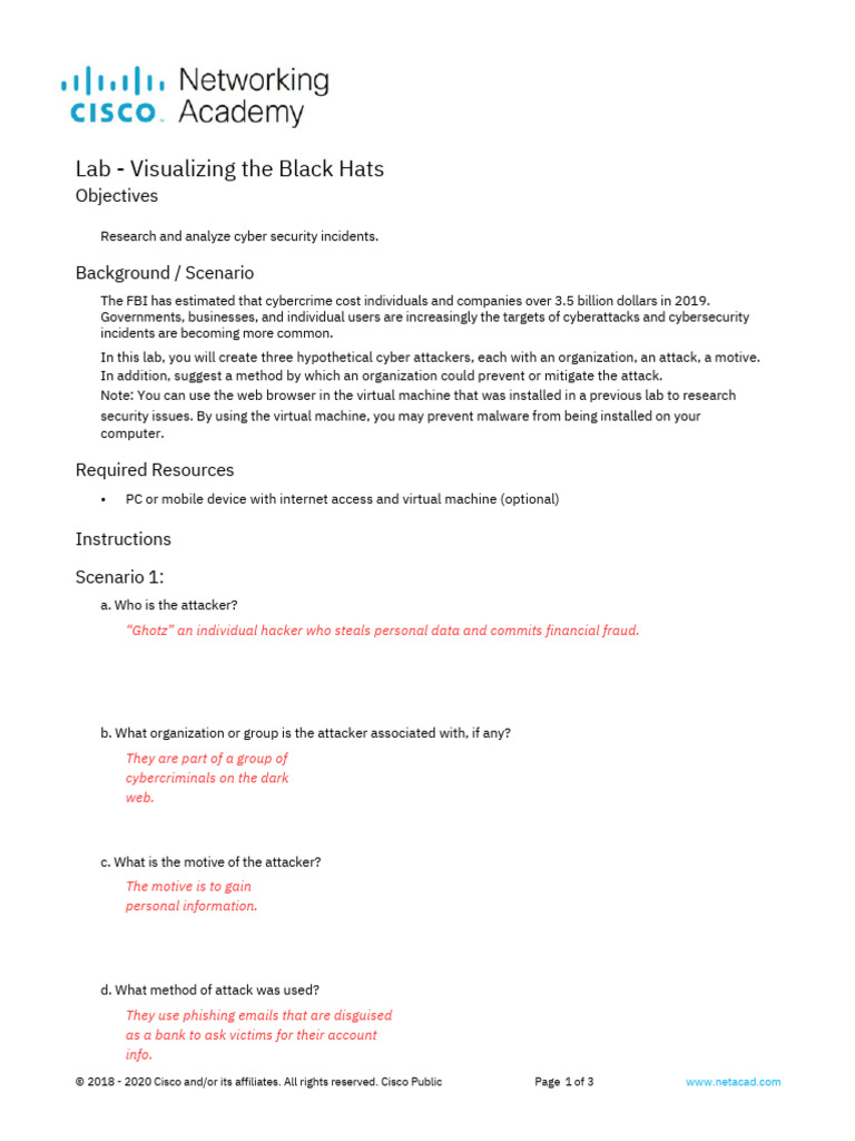 Lab: Analyzing Cyber Attack Methods | PDF | Security | Computer Security