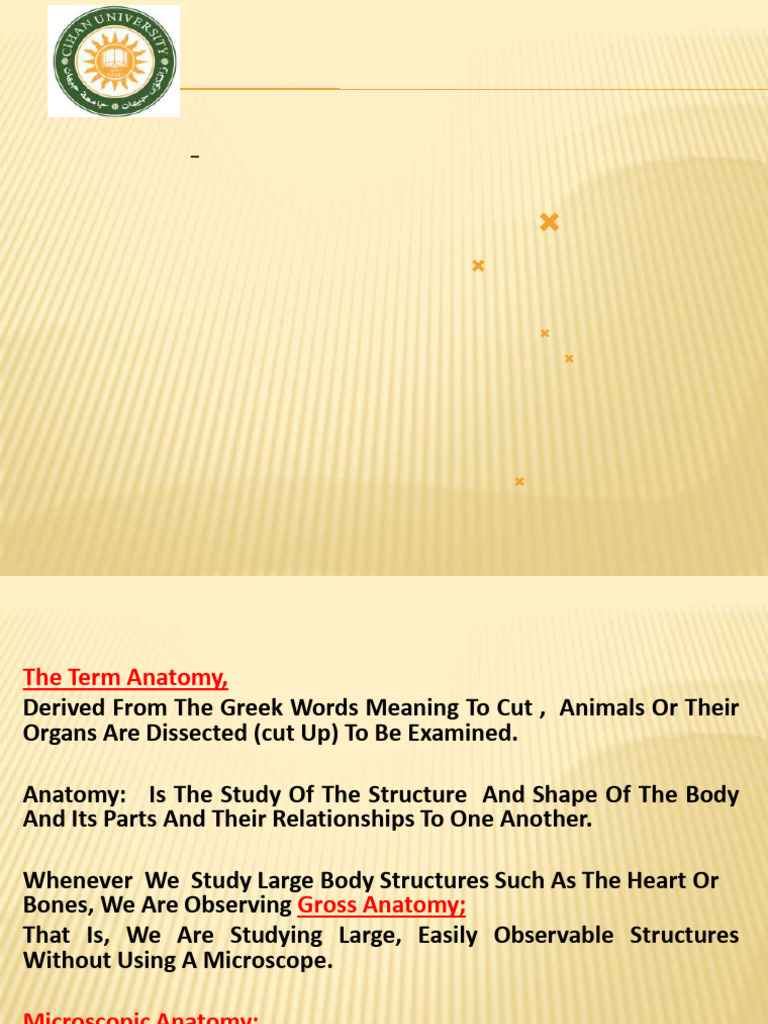 Anatomy Lect 1 & 2 | PDF