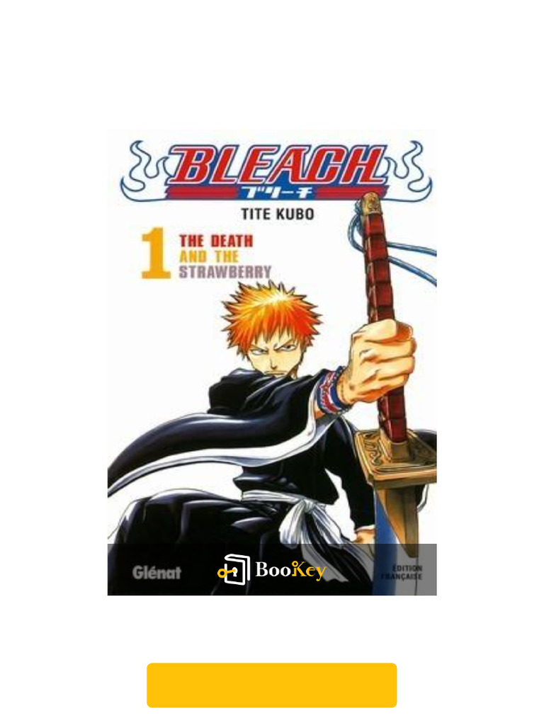 Bleach, Tome 1 | PDF