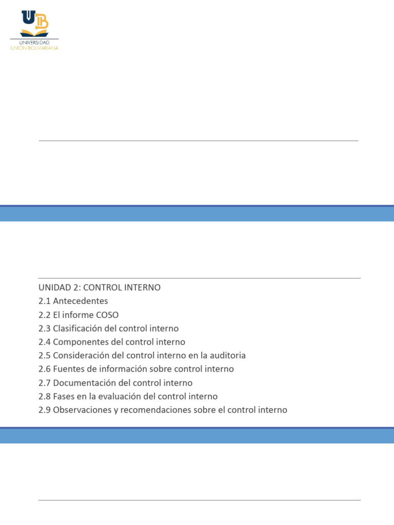 Tema 2 Control Interno | PDF