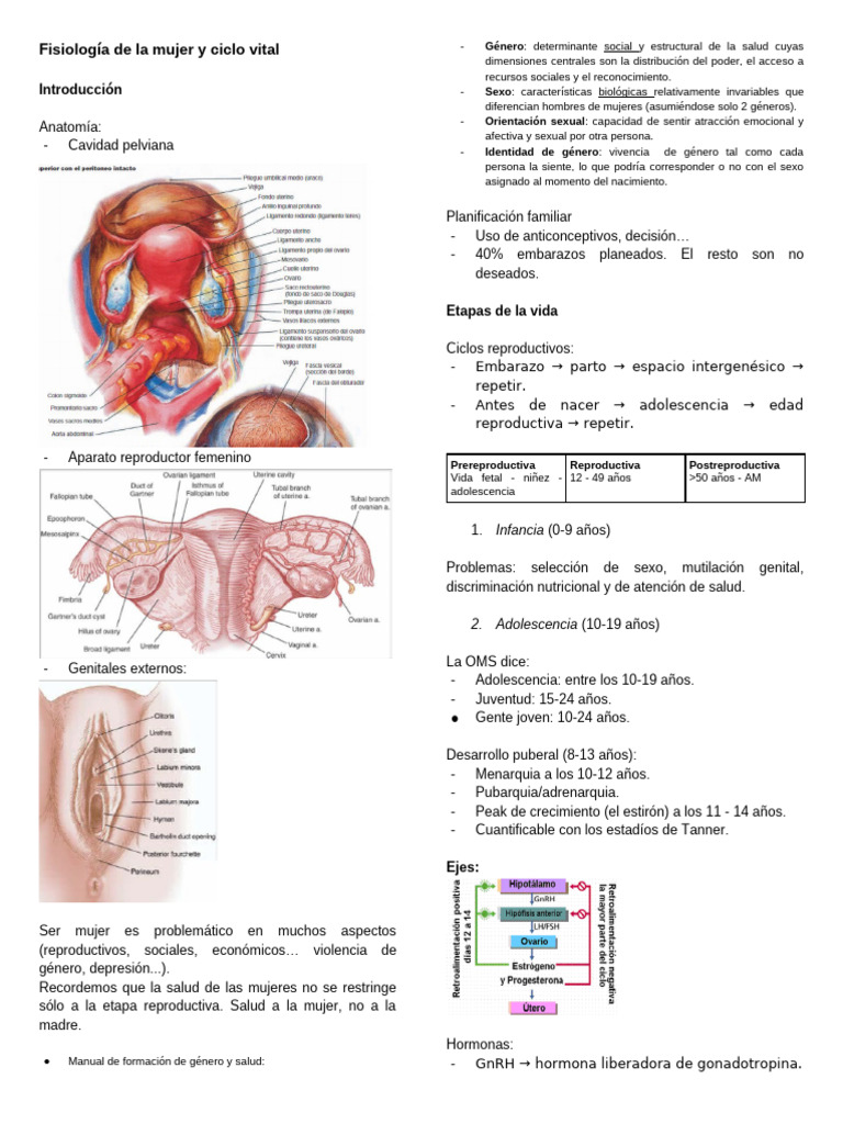 Fisiología de La Mujer y El Ciclo Vital | PDF