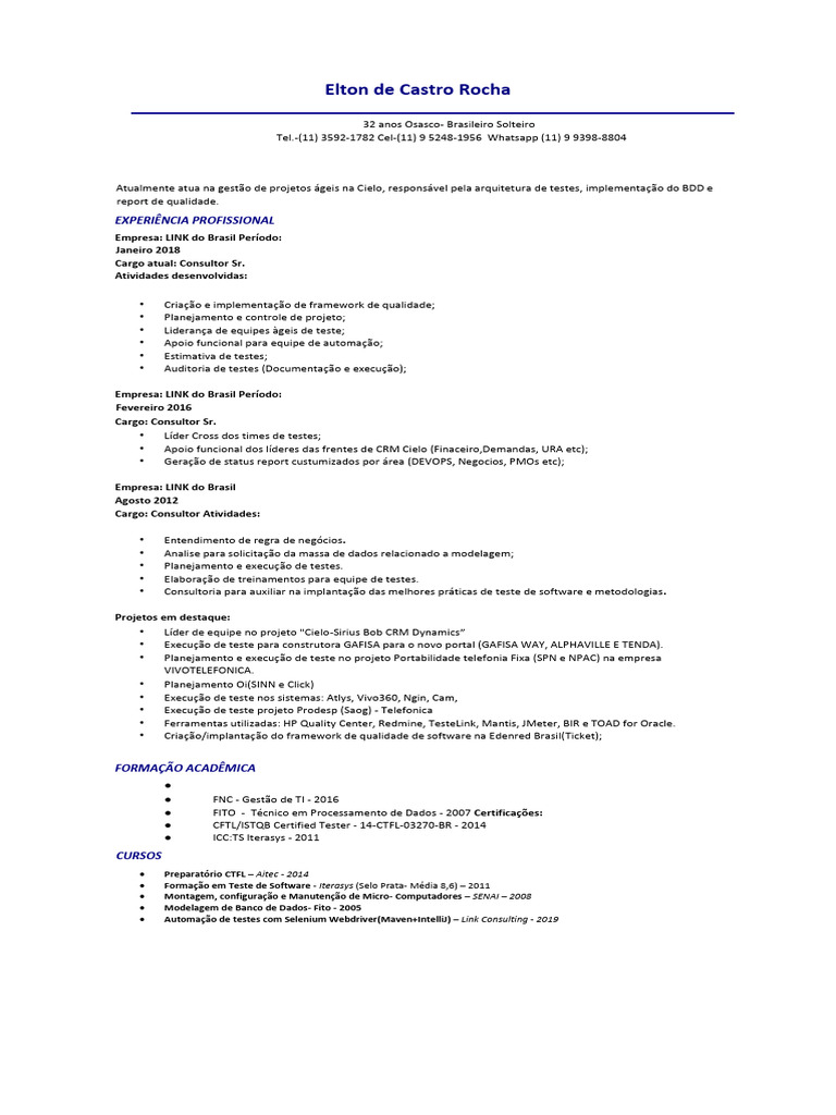 CV Elton Castro Rocha 2020 | PDF